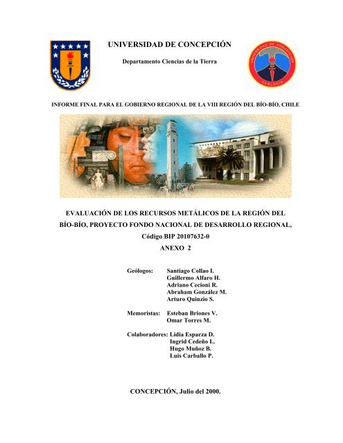 UNIVERSIDAD DE CONCEPCIÓN