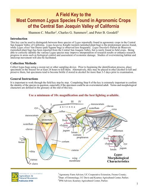 A Field Key to the Most Common Lygus Species Found in ...