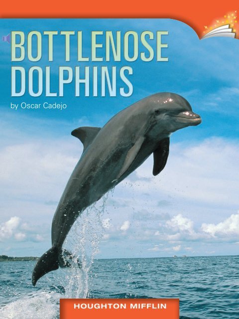 Lesson 10:BOTTLENOSE DOLPHINS