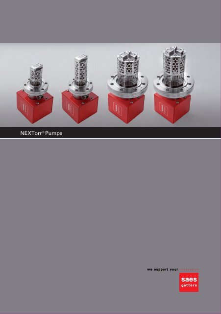nextorr brochure 2012_web.pdf - SAES Getters