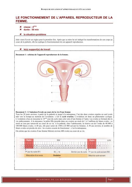 Le Fonctionnement De Lappareil Reproducteur De La Femme
