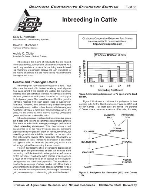 Inbreeding in Cattle
