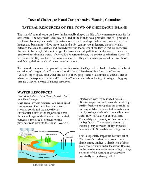 Natural Resource Inventory - Town of Chebeague Island