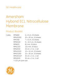 Amersham™ ECL™ Prime Western blotting reagent - GE Western ...