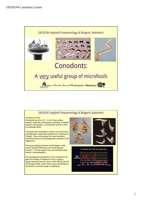 Conodonts: