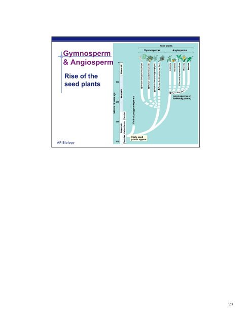 Chapter 29-30: Plant Diversity 2 - Explore Biology