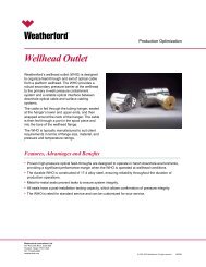 Permanent Downhole Monitoring - Weatherford Production ...