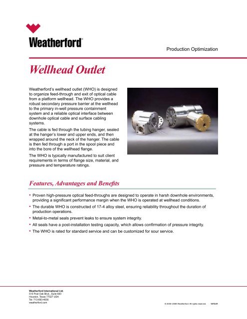 Wellhead Outlet - Weatherford International