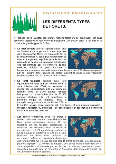 les differents types de forets. - Cap Sciences