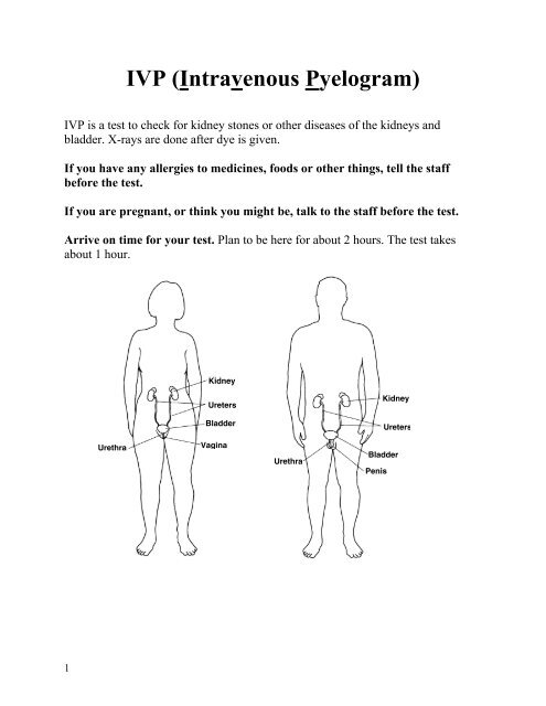 IVP (Intravenous Pyelogram) - the Exchange