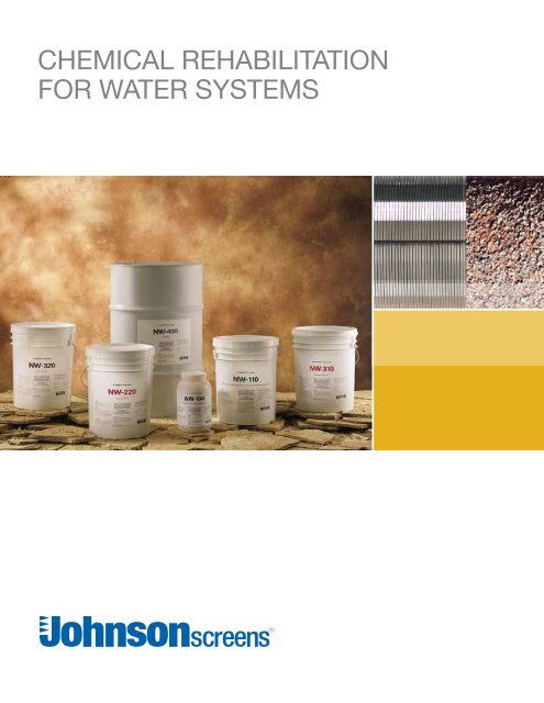 Chemical Rehabilitation for Water Systems.pdf - Johnson Screens