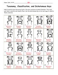 Sharks Dichotomous key