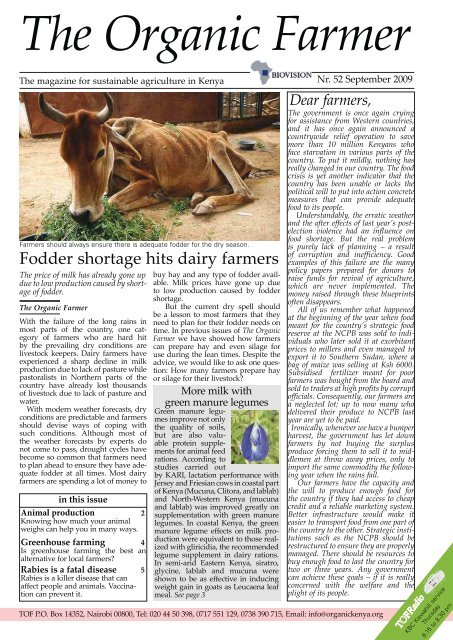 Fodder shortage hits dairy farmers - Infonet-Biovision