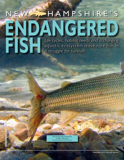 new hAMpshire's - New Hampshire Fish and Game Department