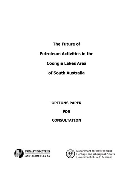 Options Paper - MISA