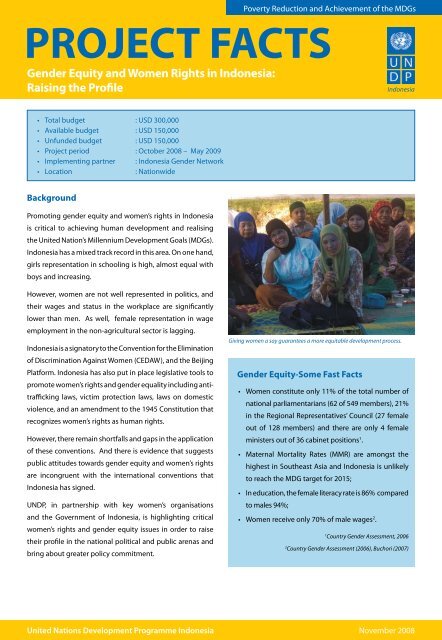 Gender Equity Factsheet - UNDP