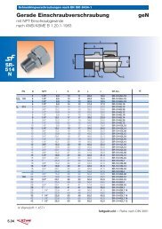 e Klemm-Stutzen Welding Flange DIN 32676 R2 ... - Schwer Fittings