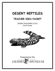 Flower Dissection - Arizona-Sonora Desert Museum