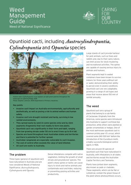 Weed Management Guide - Opuntioid cacti - Weeds Australia