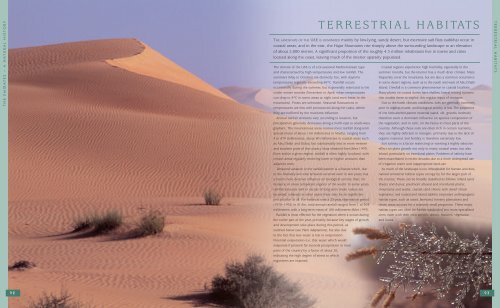 TERRESTRIAL HABITATS - UAE Interact