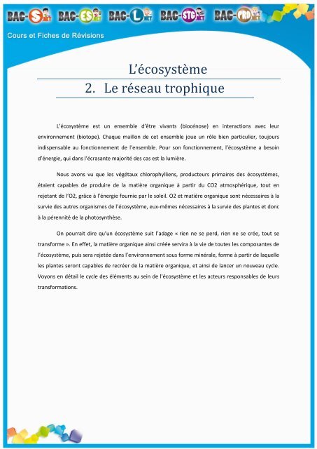Réseau trophique chaîne alimentaire
