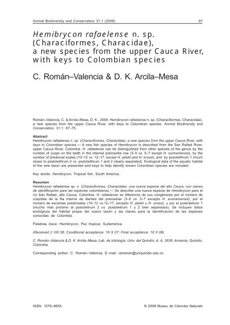 Hemibrycon rafaelense n. sp. - Raco