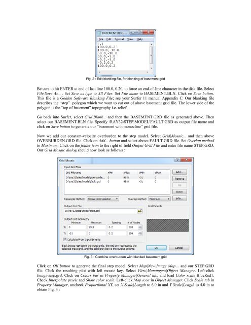 Fig. 2 : Edit blanking fi