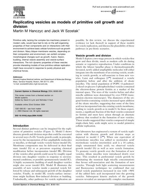 Replicating vesicles as models of primitive cell growth and division