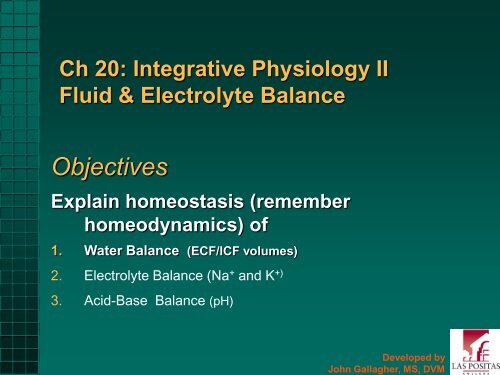 Chapter 20: Fluid and Electrolyte Balance