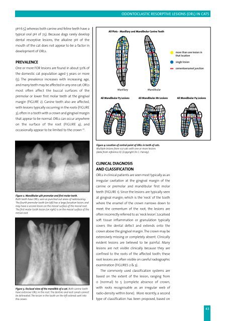 ODONTOCLASTIC RESORPTIVE