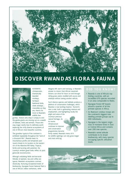 DISCOVER RWANDA'S FLORA & FAUNA