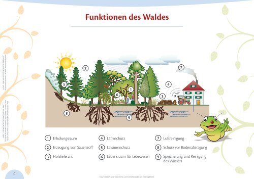 Funktionen des Waldes
