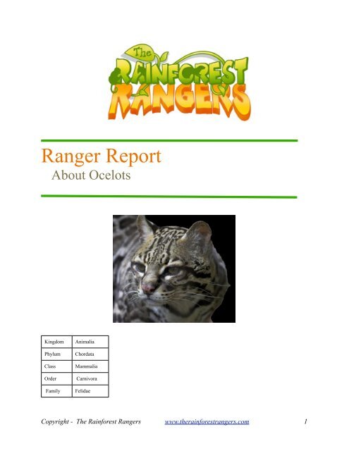 Mammal Ocelot - The Rainforest Rangers