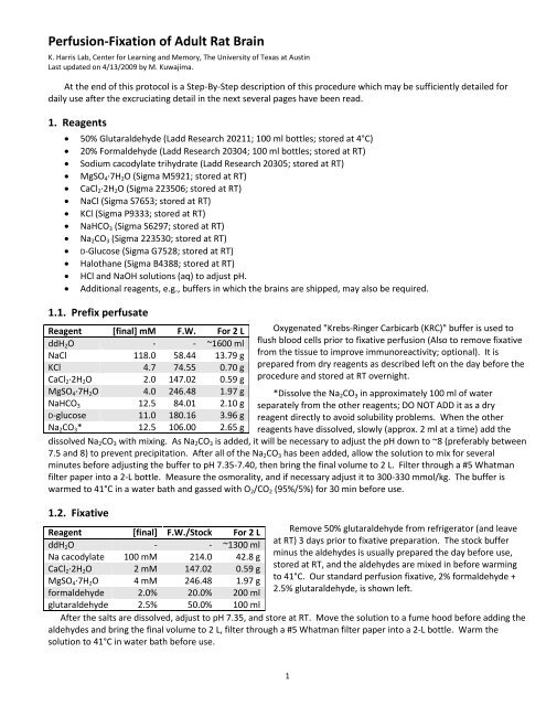 Protocol for Perfusion Fixation Adult Rat Brain - The University of ...