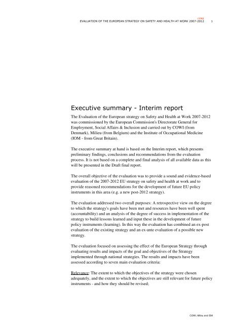Executive summary - Interim report