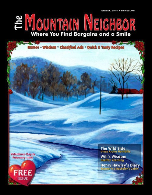 The Wild Side Will's Wisdom Henry Hawley's Diary - Cover