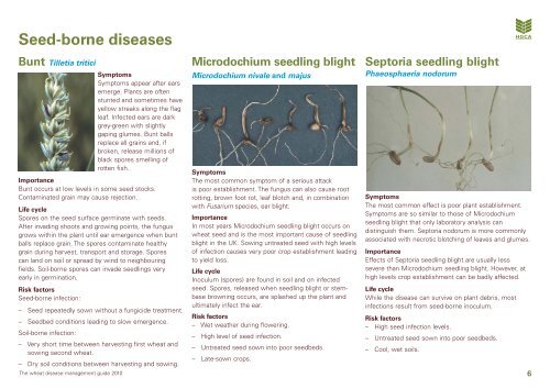 Seed-borne diseases - HGCA
