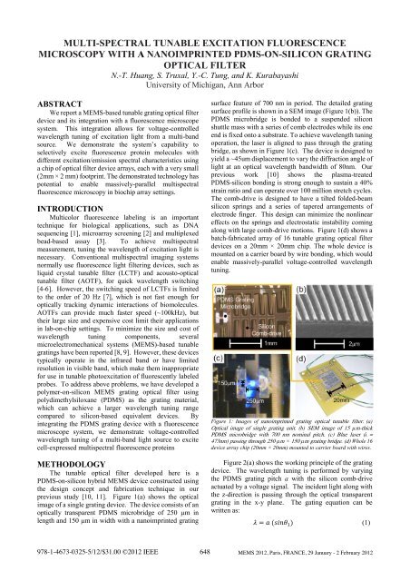 Multi Spectral Tunable Excitation Fluorescence Microscopy