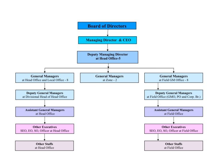 Organogram Magazines