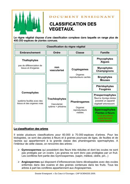 Arbres Angiospermes La Floraison Des Arbres Fruitiers,