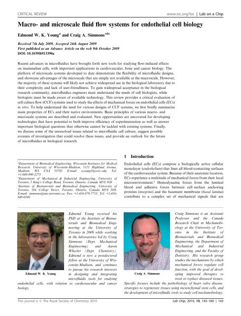 Macro- and microscale fluid flow systems for endothelial cell biology