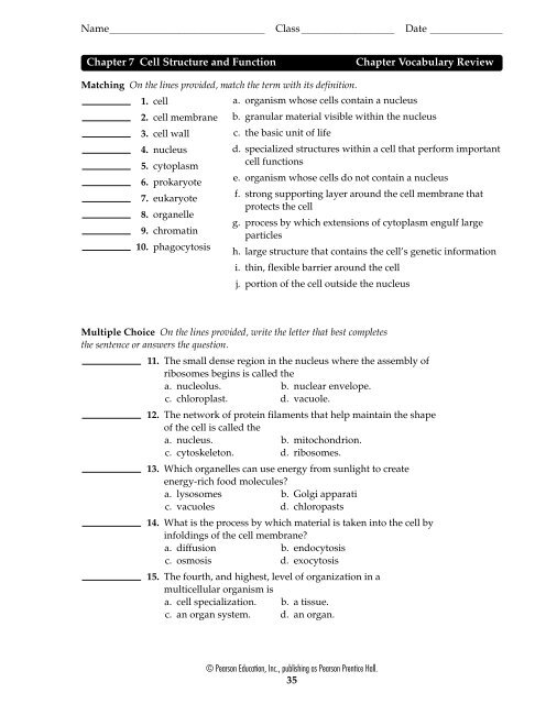 46 Chapter 7 Cell Structure And Function Answer Key AvrilKaiden
