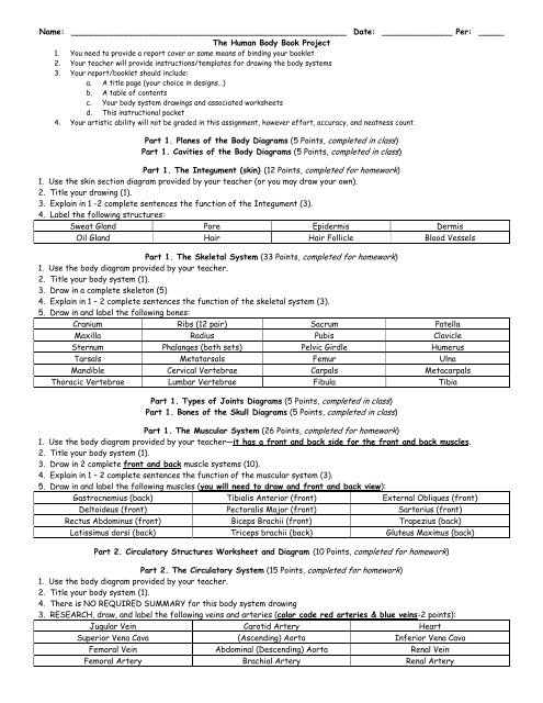 Human Body Systems Worksheets High School