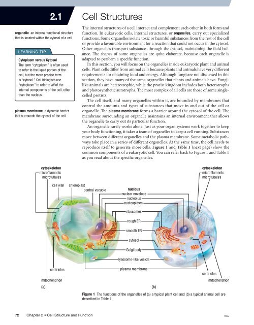2.1 Cell Structures