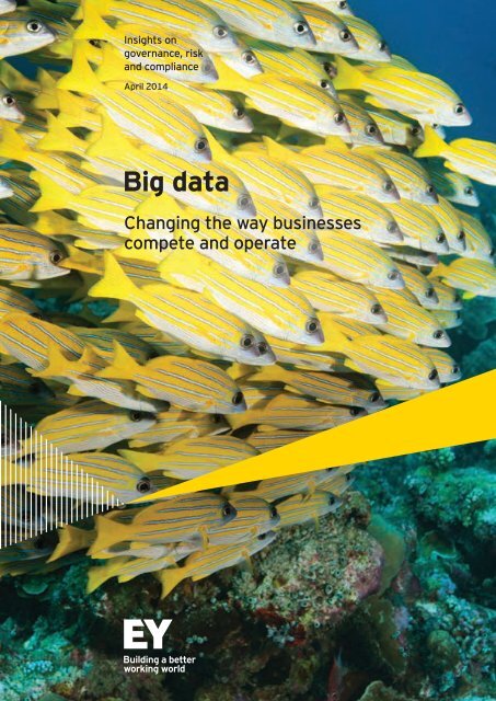 EY-Insights-on-GRC-Big-data