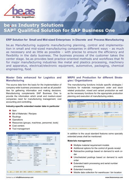 beas Flyer - Blue Ocean Systems