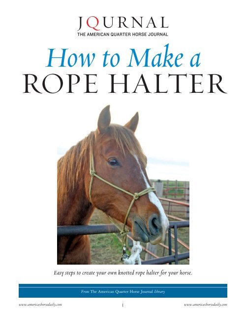 How To Make A Rope Halter