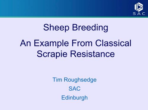 Sheep breeding â an example from scrapie resistance