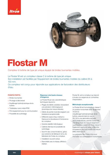 Flostar M - Itron