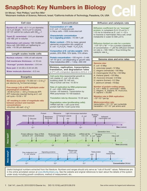 SnapShot: Key Numbers in Biology - Rob Phillips Group